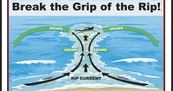 Find Your Legacy: How to survive a riptide ... Professionally!