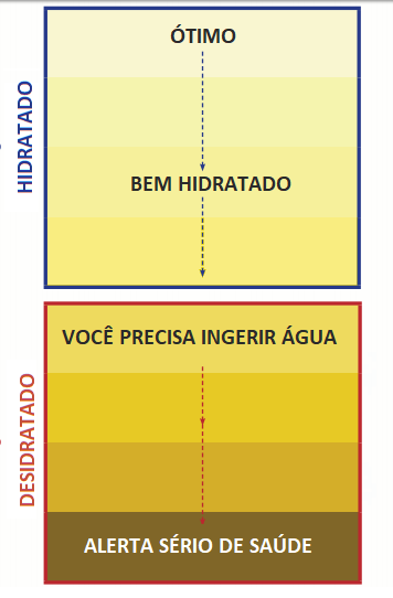 O que a cor da urina indica sobre a saúde de uma pessoa? - Saber Atualizado