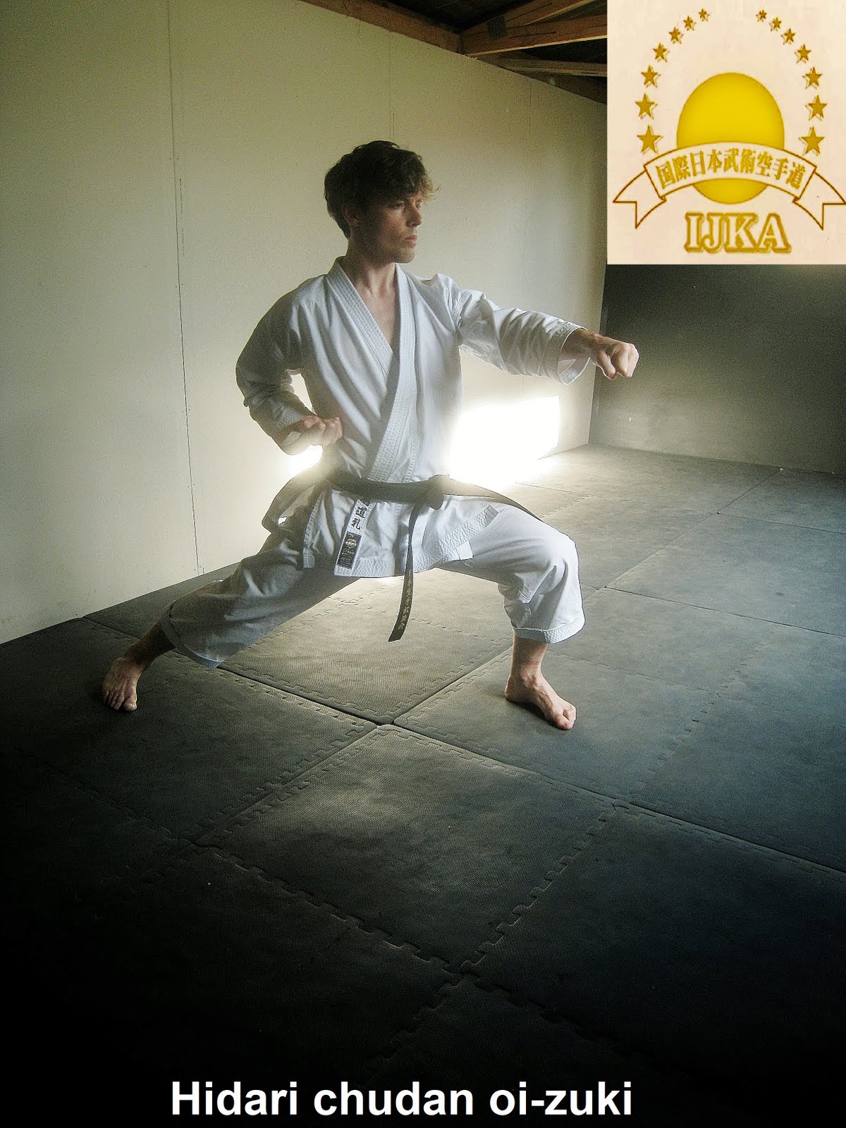 André Bertel's Karate-Do: OI-ZUKI