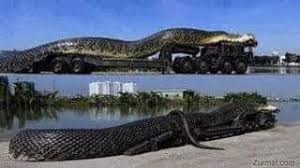 Alexa Hindi | Knowledge in Hindi | Duniya ka Sabse Bada blog