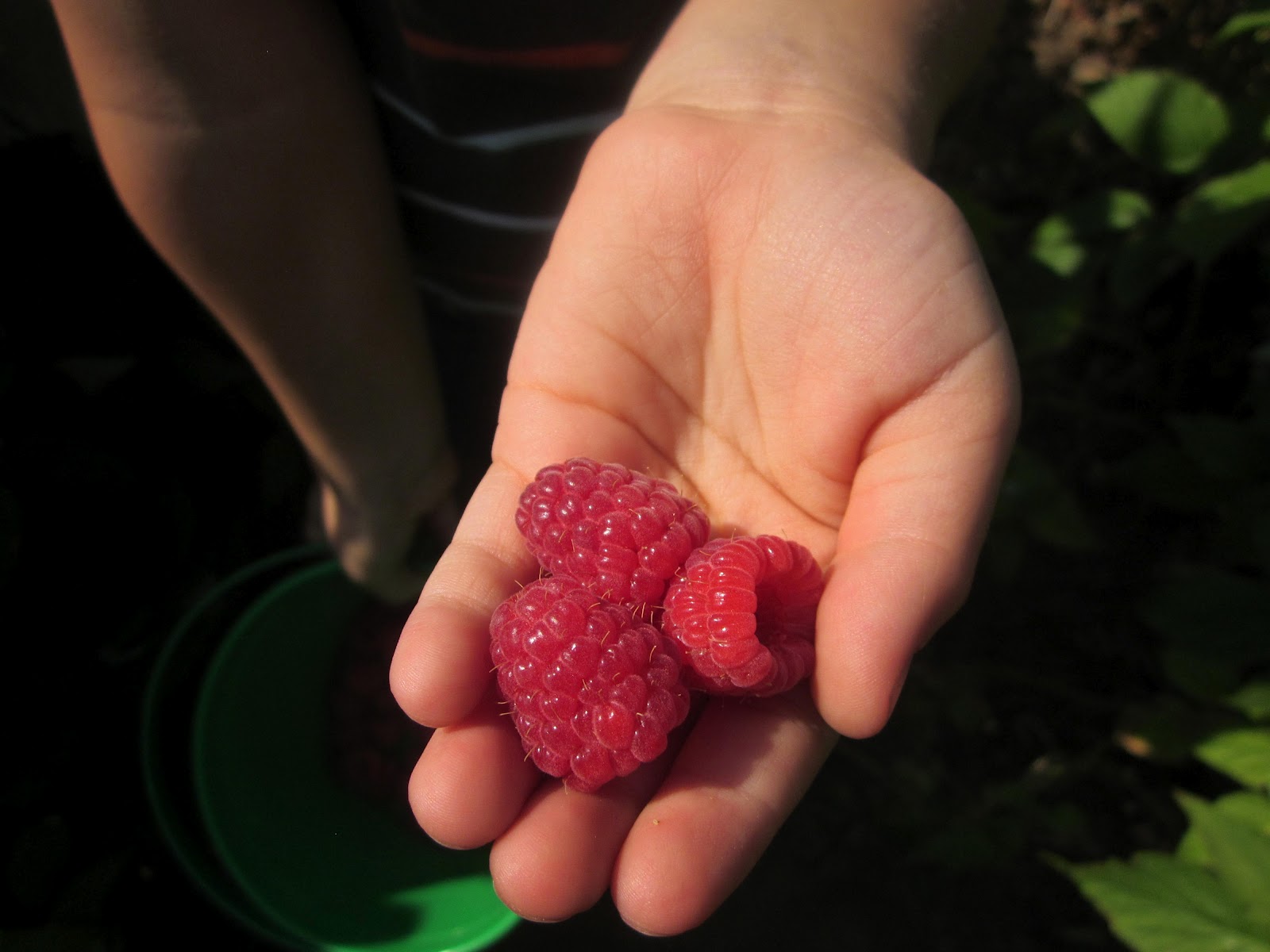 Dimples & Delights: Our Last Summer Adventure