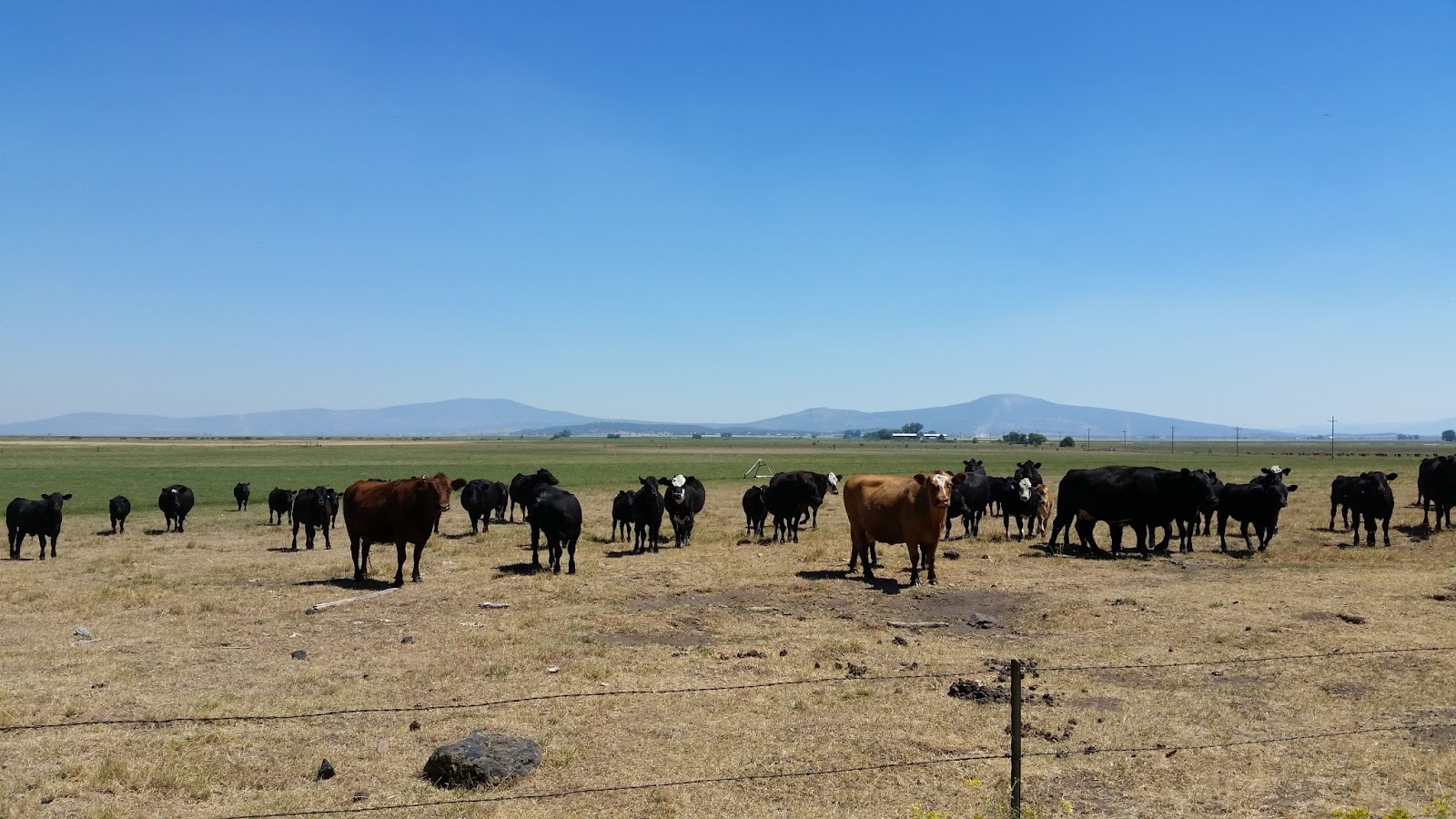 Wes' Travels to California Lakes: Meiss Lake - Siskiyou County, California