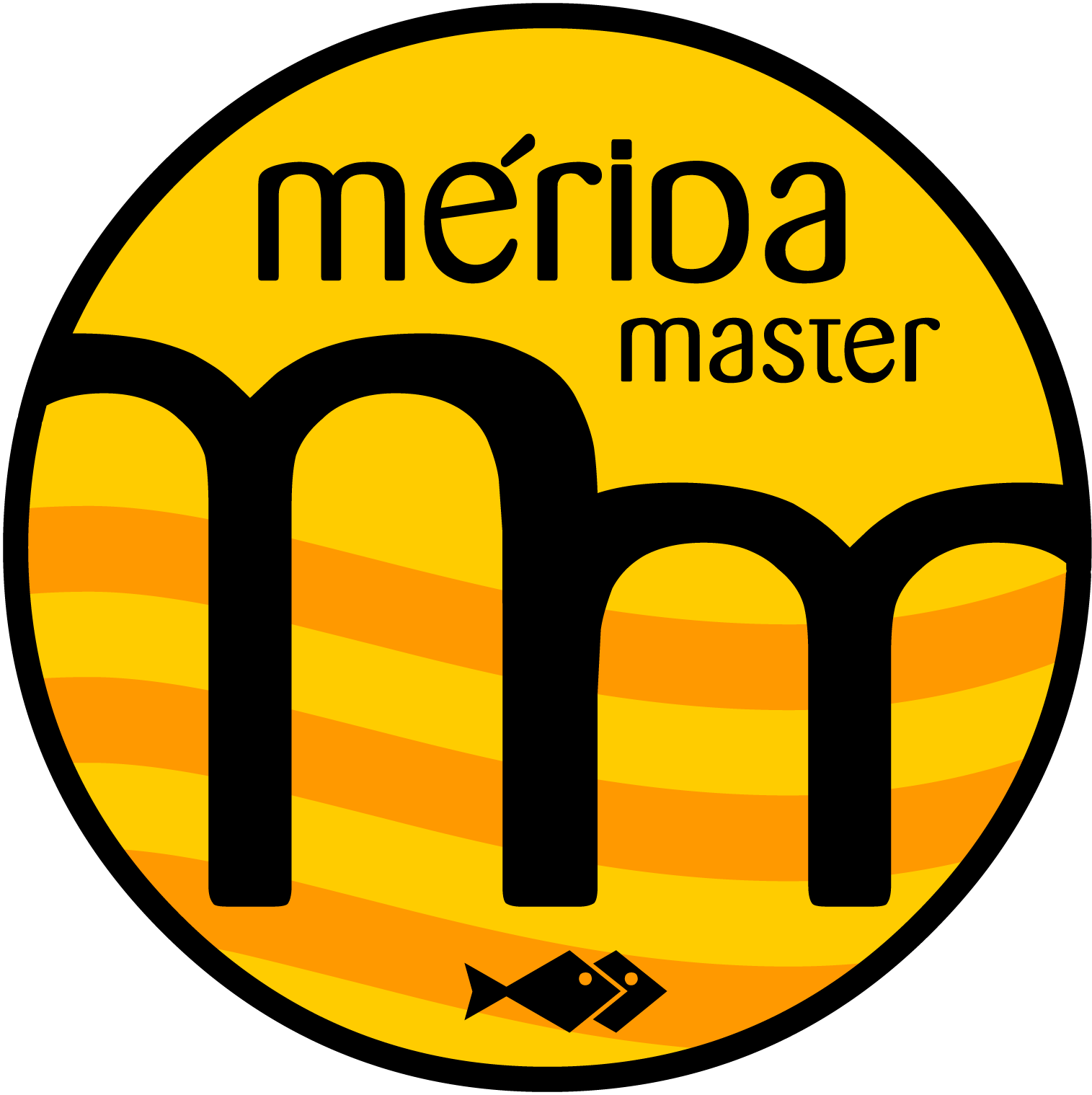 meridamaster: MERIDA MASTER 2013