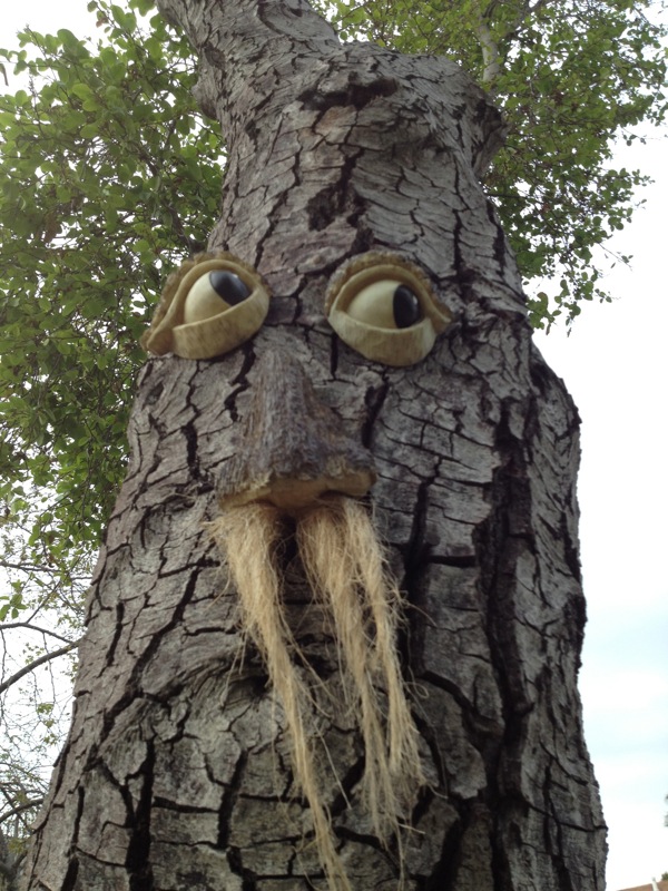 MELROSEandFAIRFAX: Tree People Los Angeles
