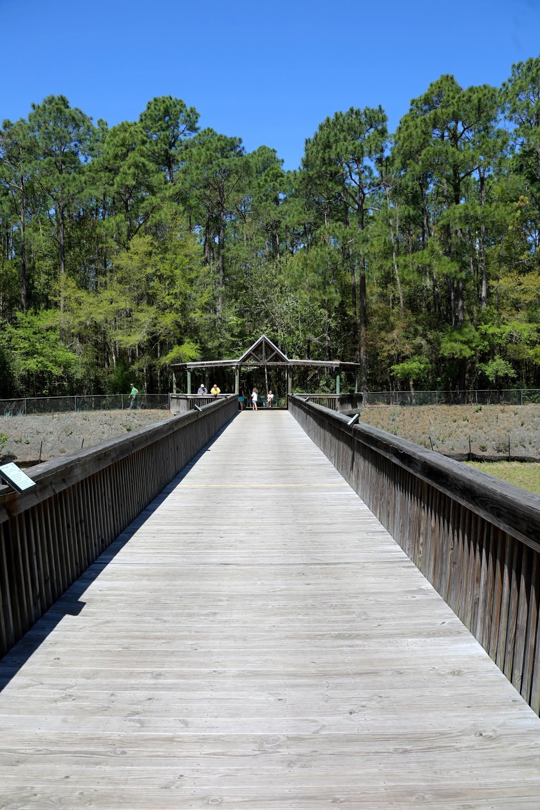 My Kampah: 4/11/19 GreenBrook Garden