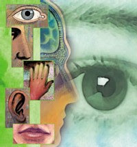 Corrientes Contemporáneas de la Psicología, Sensación y Percepción ...