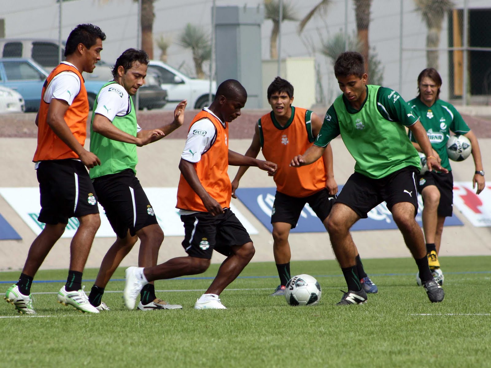 I Want To Watch Blue Firm