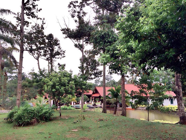 Lata Seri Pulai, Pontian Johor - Cuti Cuti Johor (CCJ)