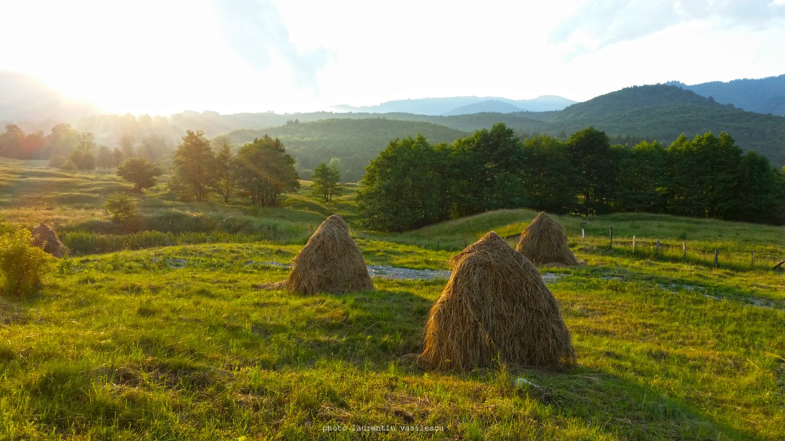 Calator in Paradis - Nucsoara, Valea Doamnei