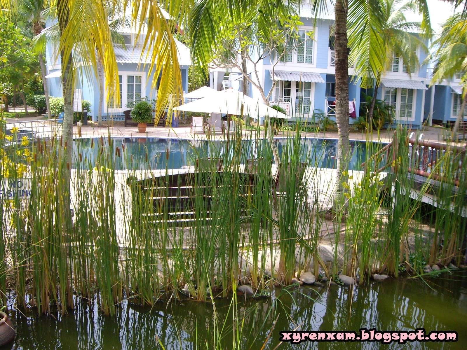 hye im xyren: RESIDENCE DESA LAGOON RESORT, PD