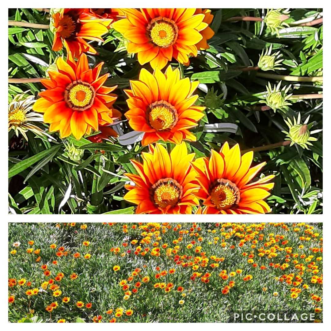 Due Vagabondi: EVORA: Old Town; Fortification Walls; D'em Bones; Castle ...