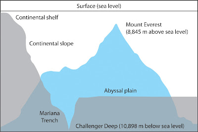 Woods of Freedom: James Cameron Explores the Mariana Trench
