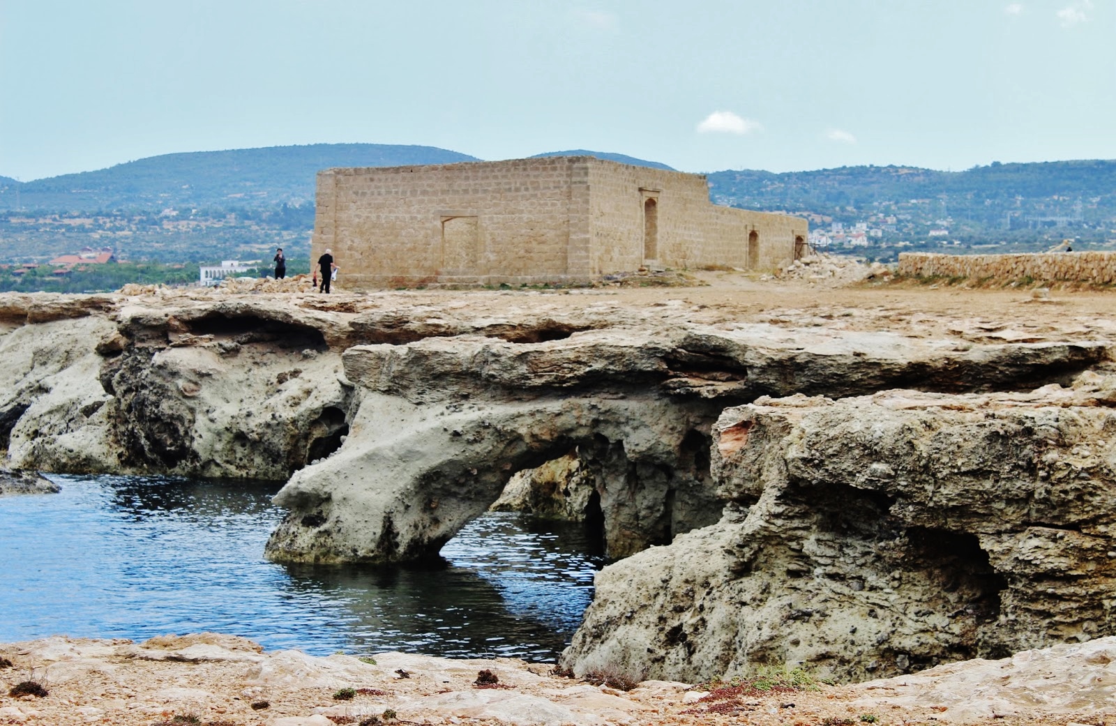 Biodiversity of Cyprus by NGO Protection of the Natural Heritage and ...