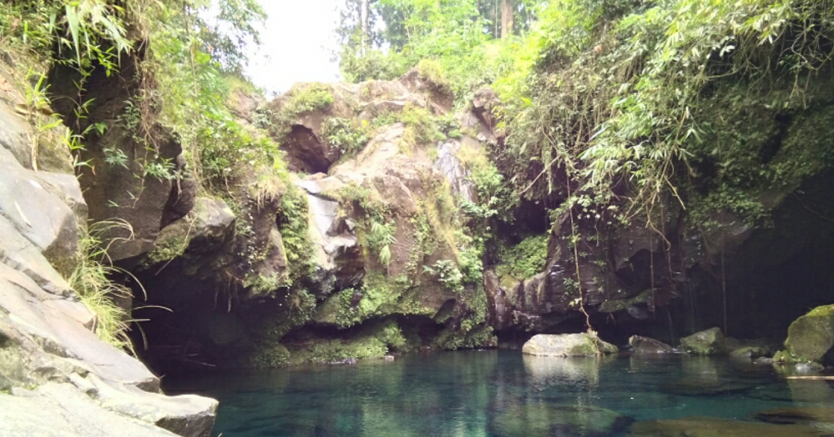 Enjoy "Pecel Kecombrang" and "Mendoan" after exploring "Telaga Sunyi ...