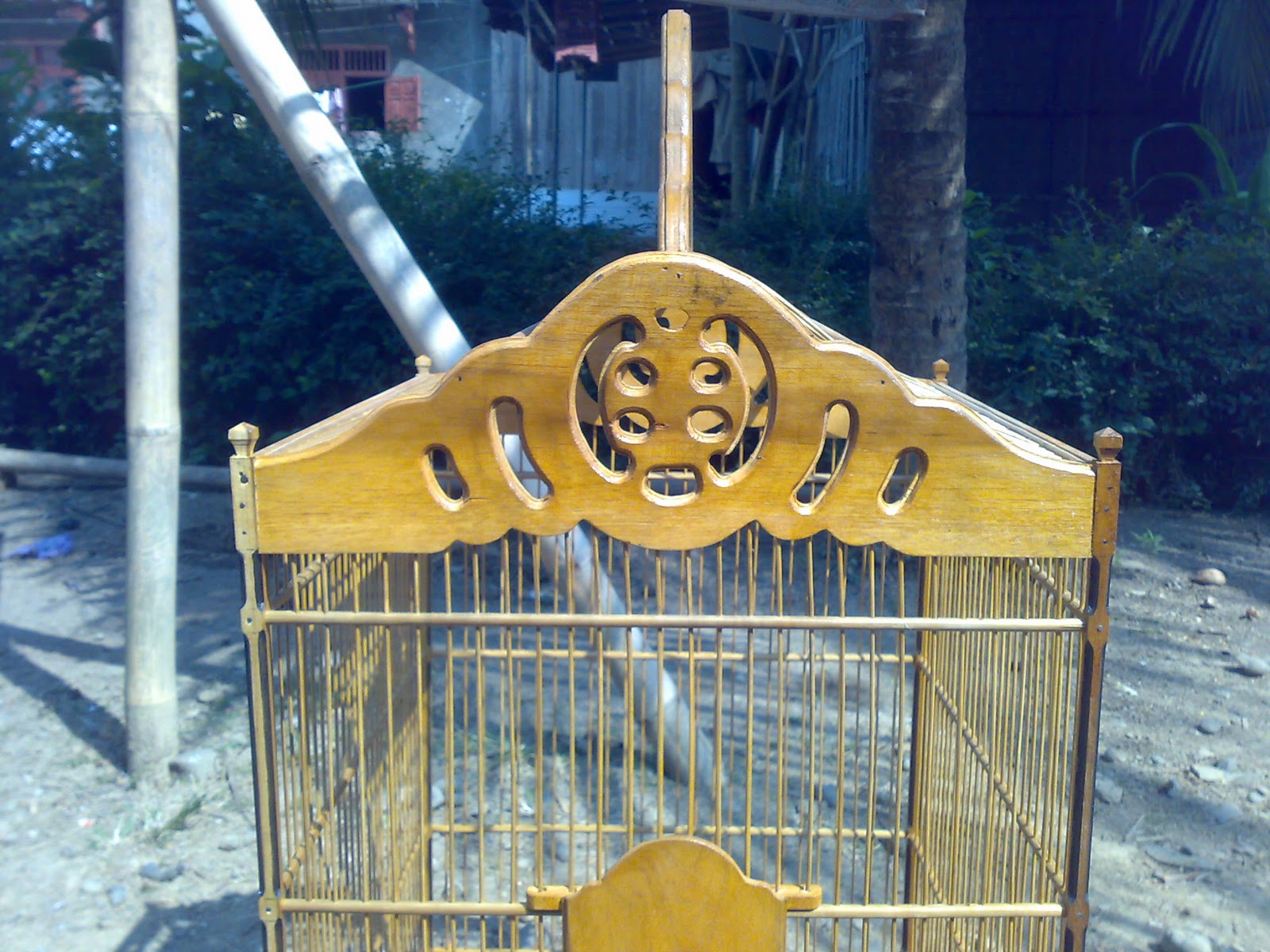 Sangkar Burung Murah Elegan