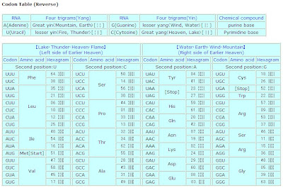 Life Navigation System: Codon table and I Ching