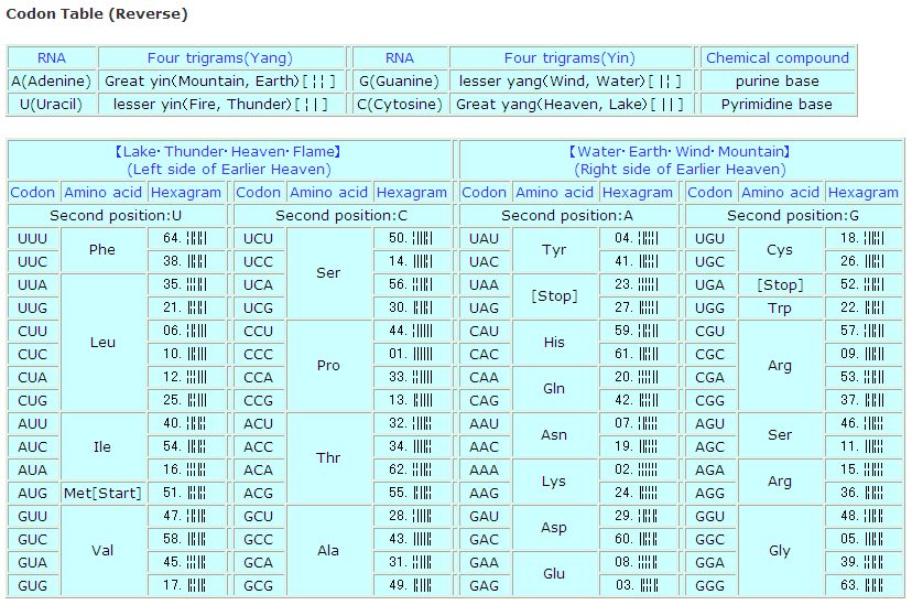 Life Navigation System: Codon table and I Ching