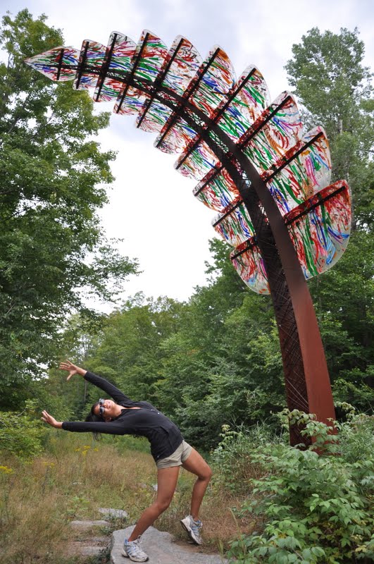 Travels with rarecat: Haliburton Sculpture Forest