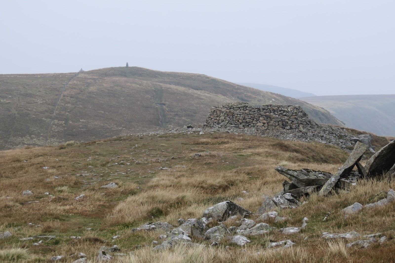 Cadair Berwyn ~ Occasionally Lost