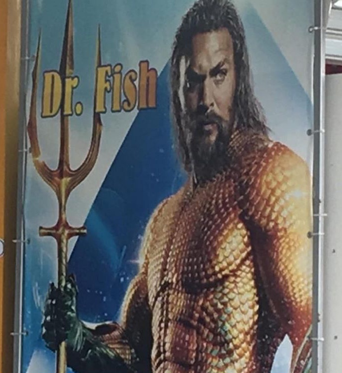 JIMSMASH ! ! !: DR. FISH