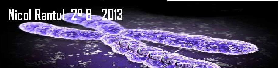 biología: cruzamiento dihibrido