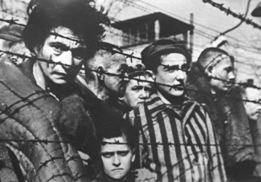 Works Cited - The Holocaust: A humanities Project