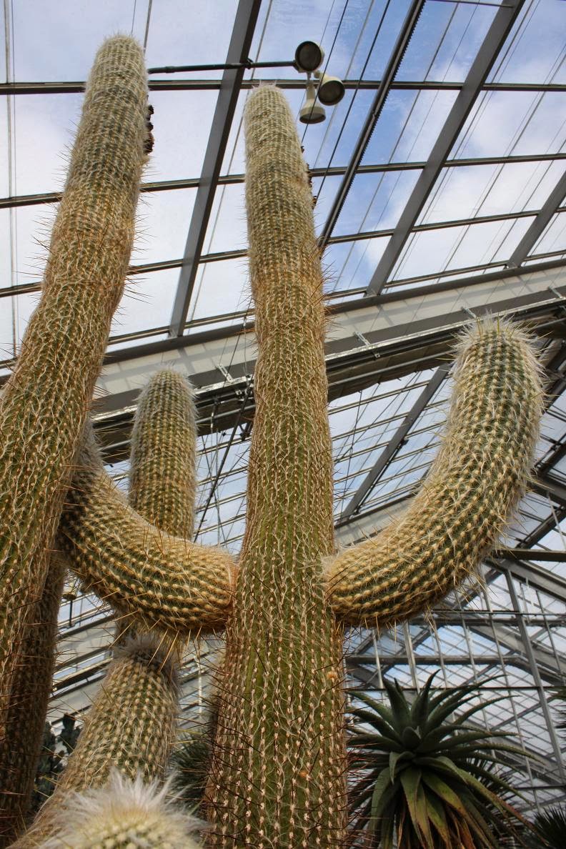 Michigan Exposures: A Little Time at Matthei Botanical Gardens