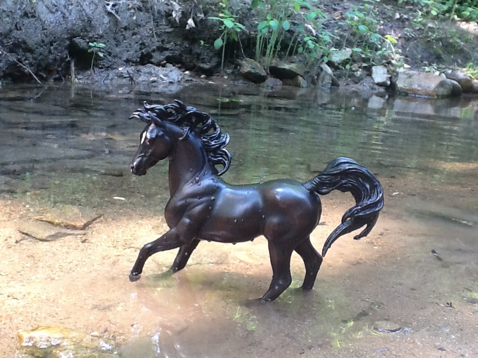 The Breyer Blog: Realistic Breyer Photography