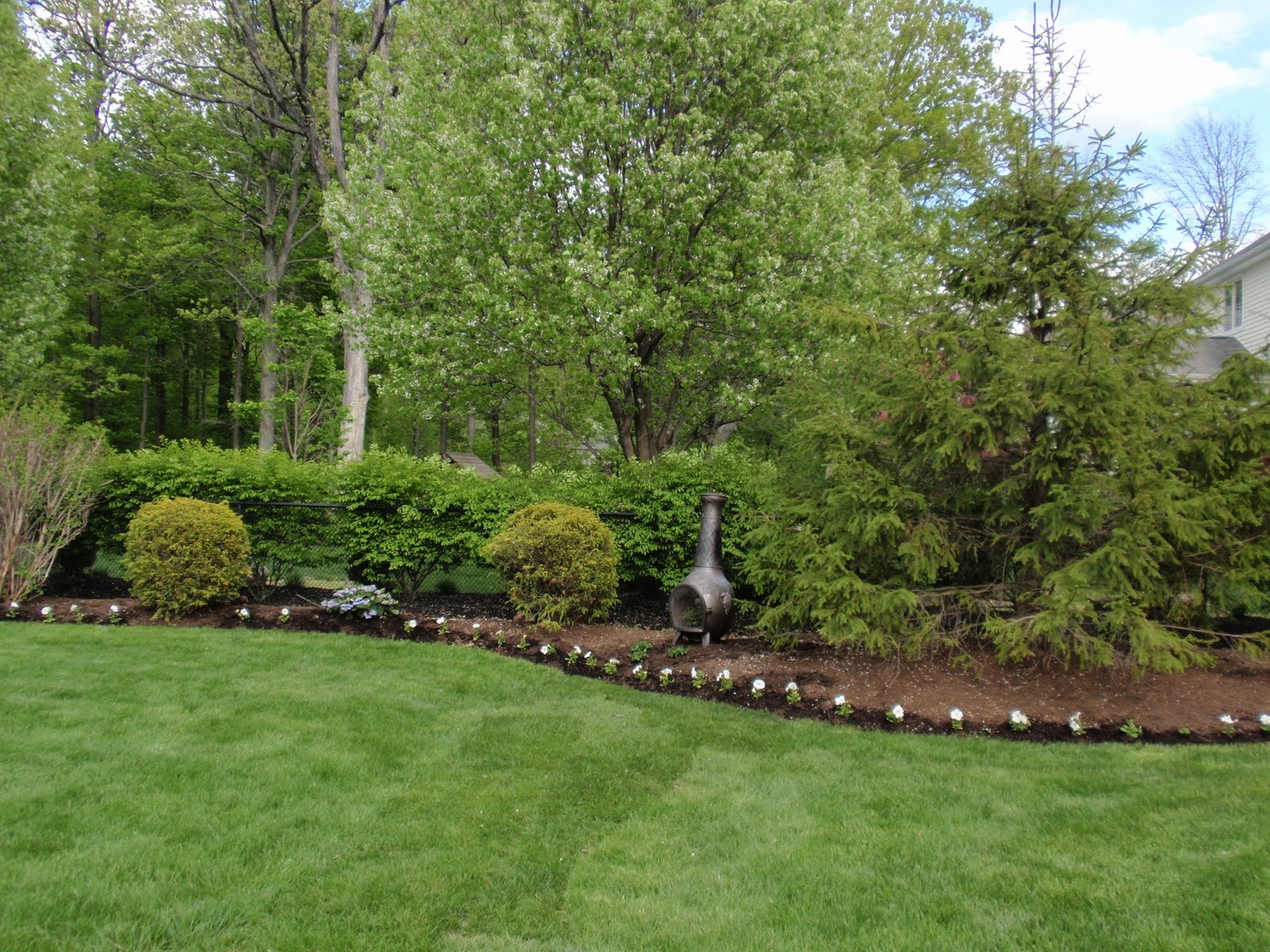 DIY by Design: Bringing Color To A Backyard