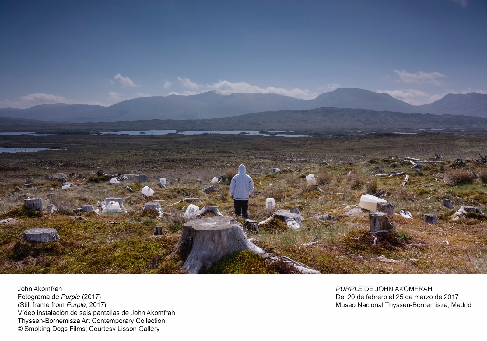 OBSERVANDO EL ARTE: PURPLE, de JOHN AKOMFRAH