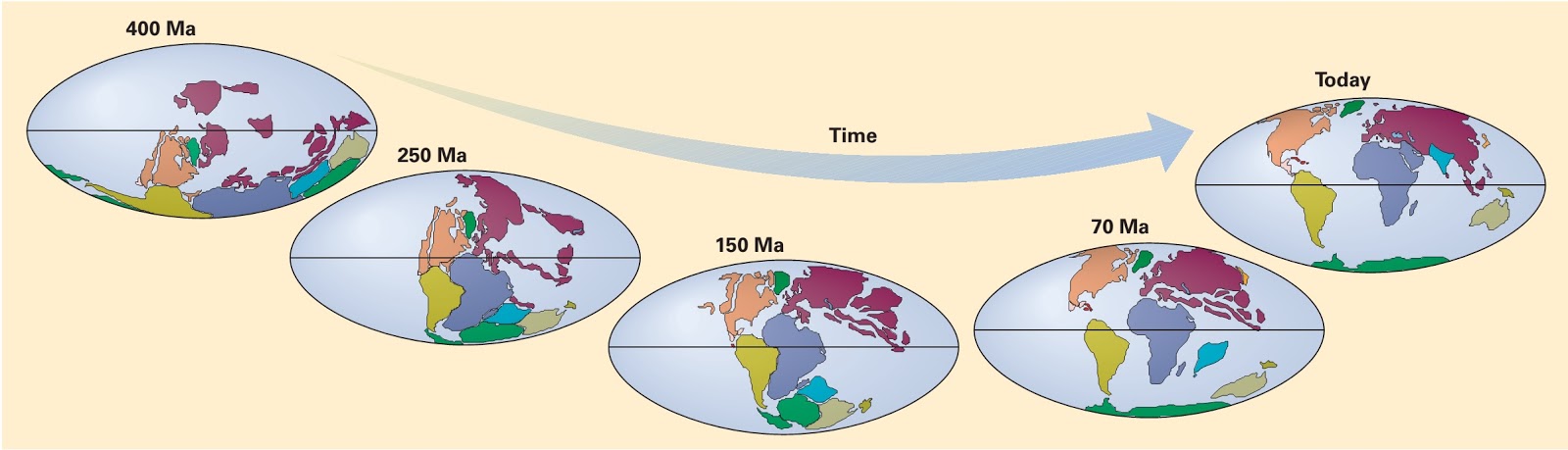 Learning Geology: What Drives Plate Motion, and How Fast Do Plates Move?