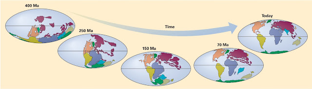 Learning Geology: What Drives Plate Motion, and How Fast Do Plates Move?