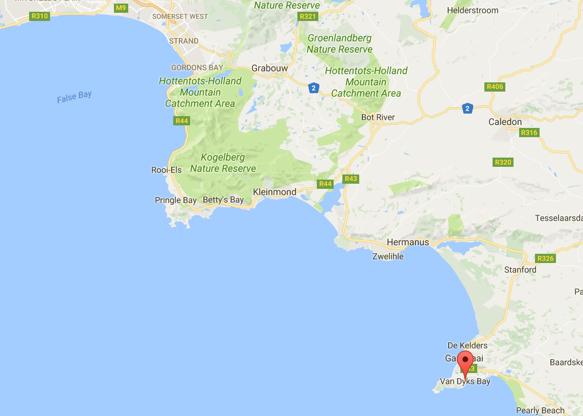 Kapstadt Blog: Hermanus, Gansbaai und Whale-Watching in Kleinbaai