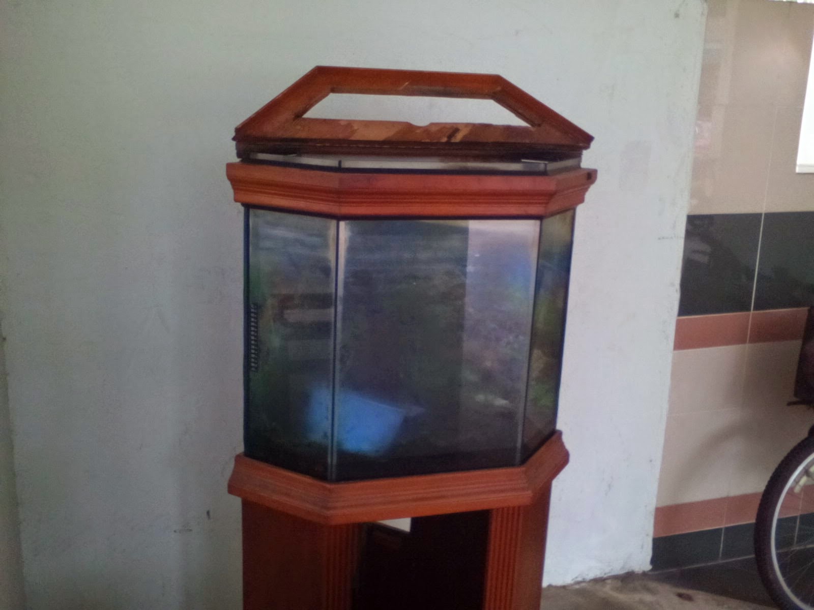Tropical Fisher Man Fish Tanks And Aquarium CRS: Five sided aqaurium ...