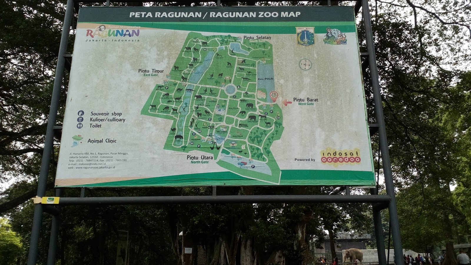 Mengunjungi Kebun Binatang Ragunan