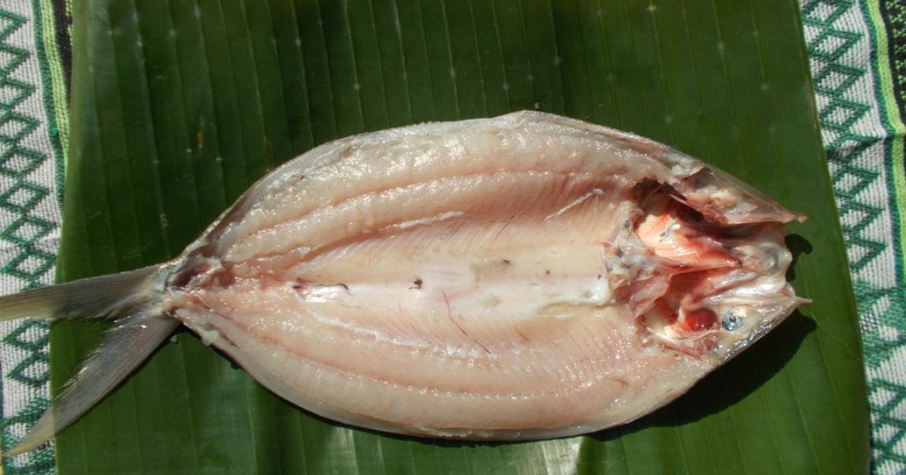 Milk Fish Fresh Meat Being Sold at Fishmonger Store - Milkfish Supplier ...