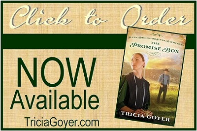 Book Review: The Promise Box by Tricia Goyer - Ben and Me