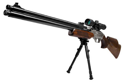 GUN SPORT: Dragon Claw Air Rifle