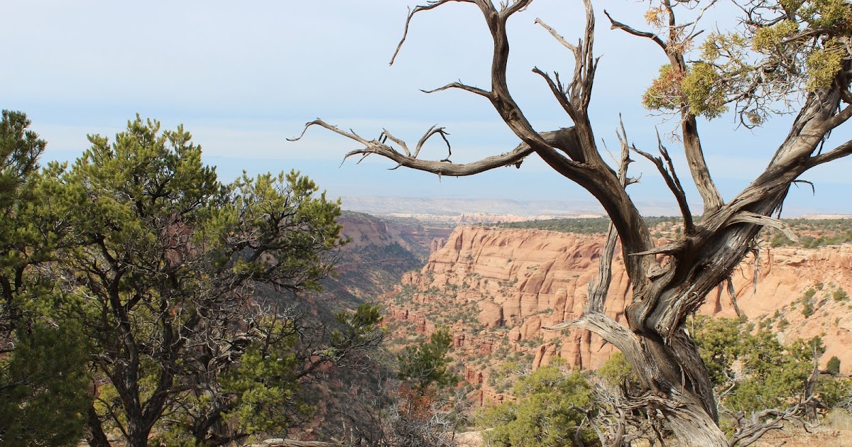 gjhikes.com: Glade Park Area (11)