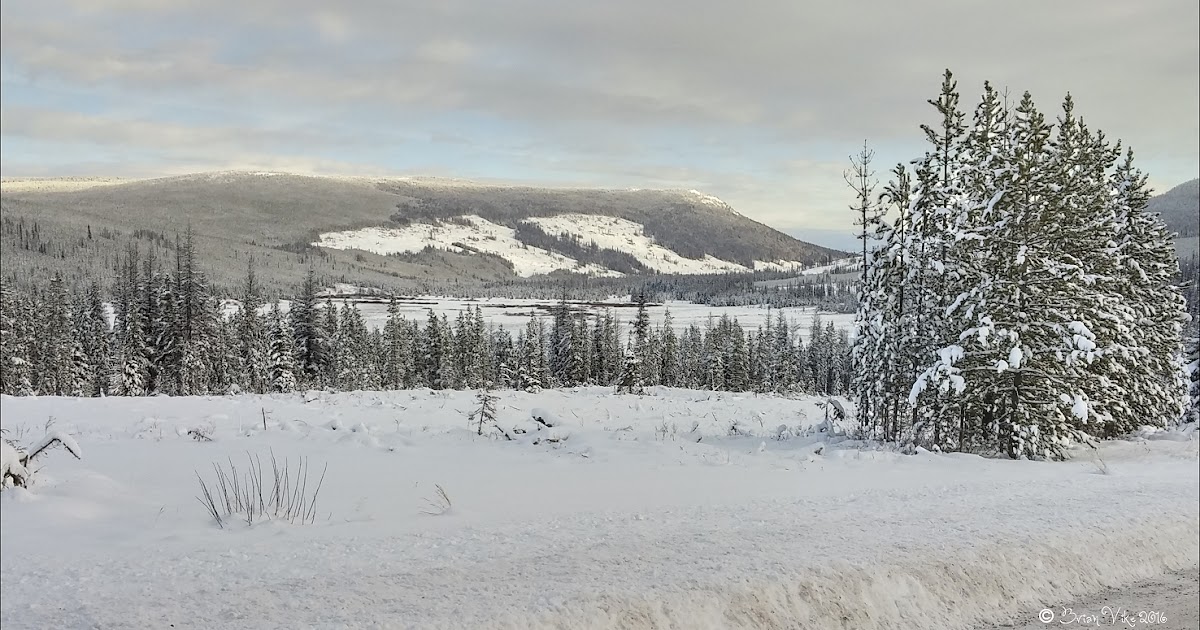 Northern Interior British Columbia: Winter's Snowfall 8 In Houston ...