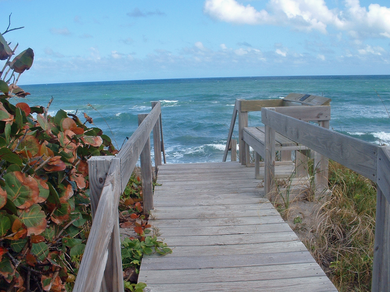 South Florida Guy: Blowing Rocks Beach - Hobe Sound