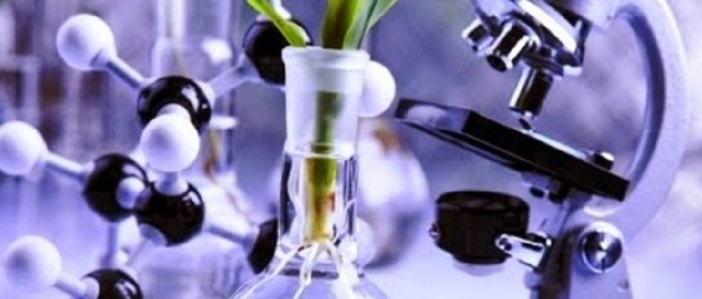 2017 ~ Belajar Biokimia