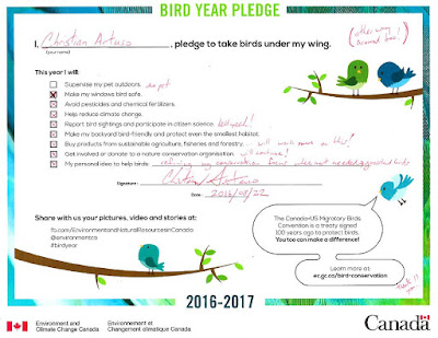 Christian Artuso: Birds, Wildlife: Pledge to take Birds "Under Your Wing"