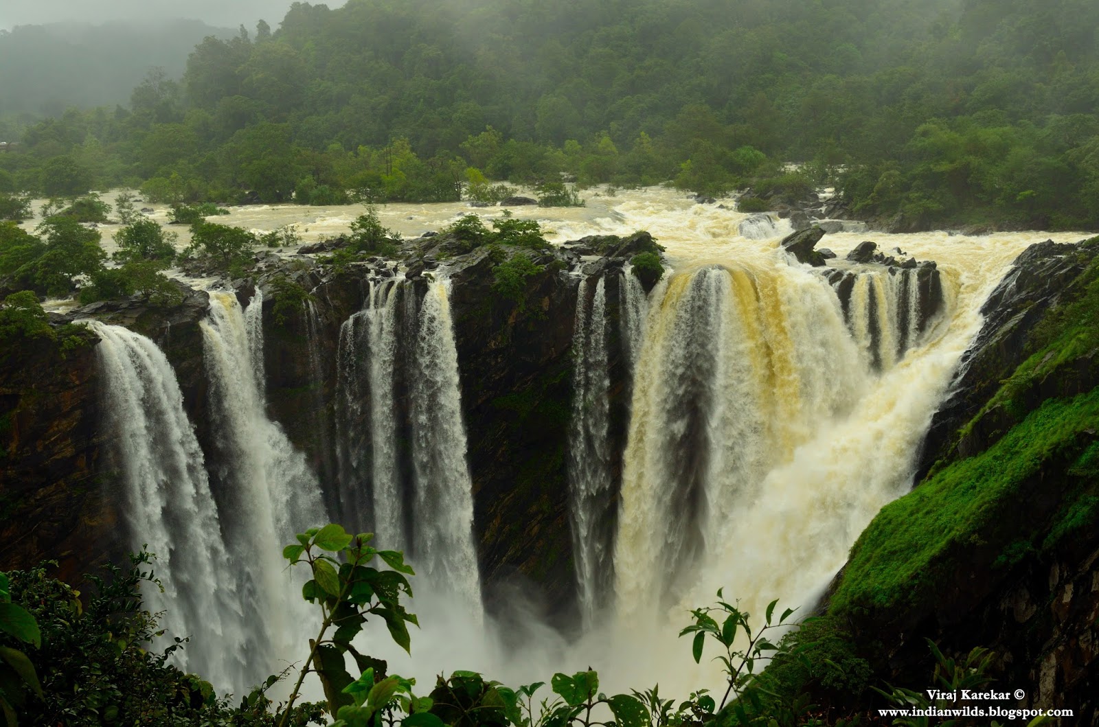 Viraj Karekar's Nature and Wildlife Photography: A view at Honnavar ...