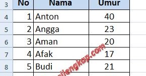 Cara-Cara Menentukan Kelompok Umur Dengan Rumus Excel - Fungsi dan ...