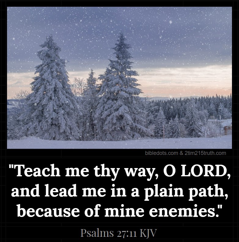 2 Timothy 2:15 Truth: Verse of the Day: Psalms 27:11 KJV