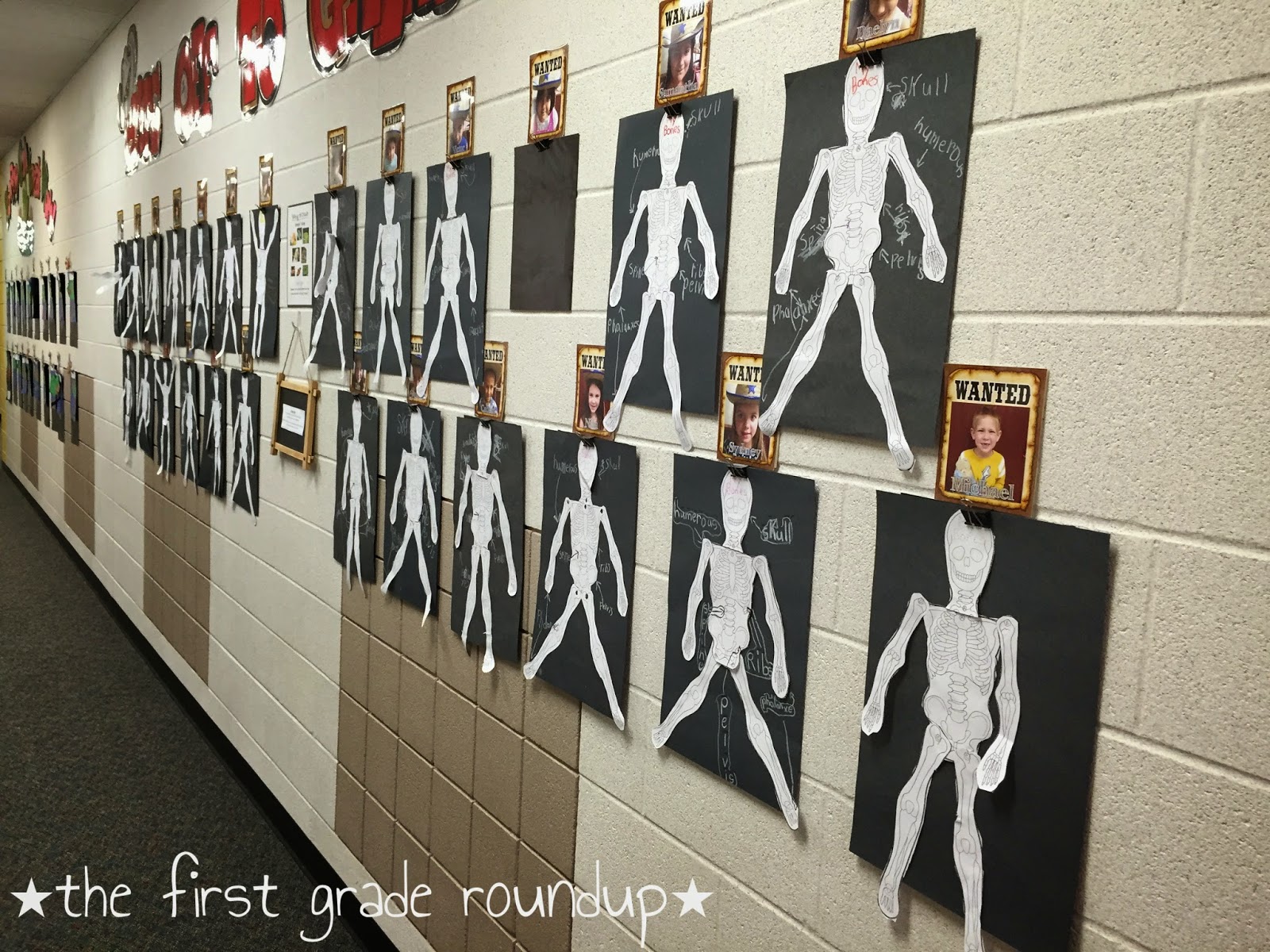 Halloween Science with non-fiction text features & skeleton puzzles ...