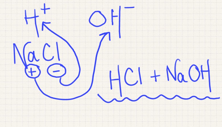 EC Honors Biology: water wrap up