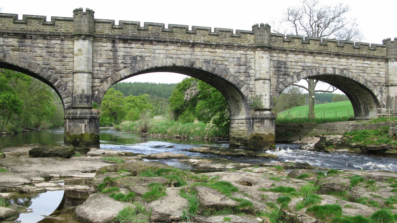 Steve's Birding And Wildlife Blog.