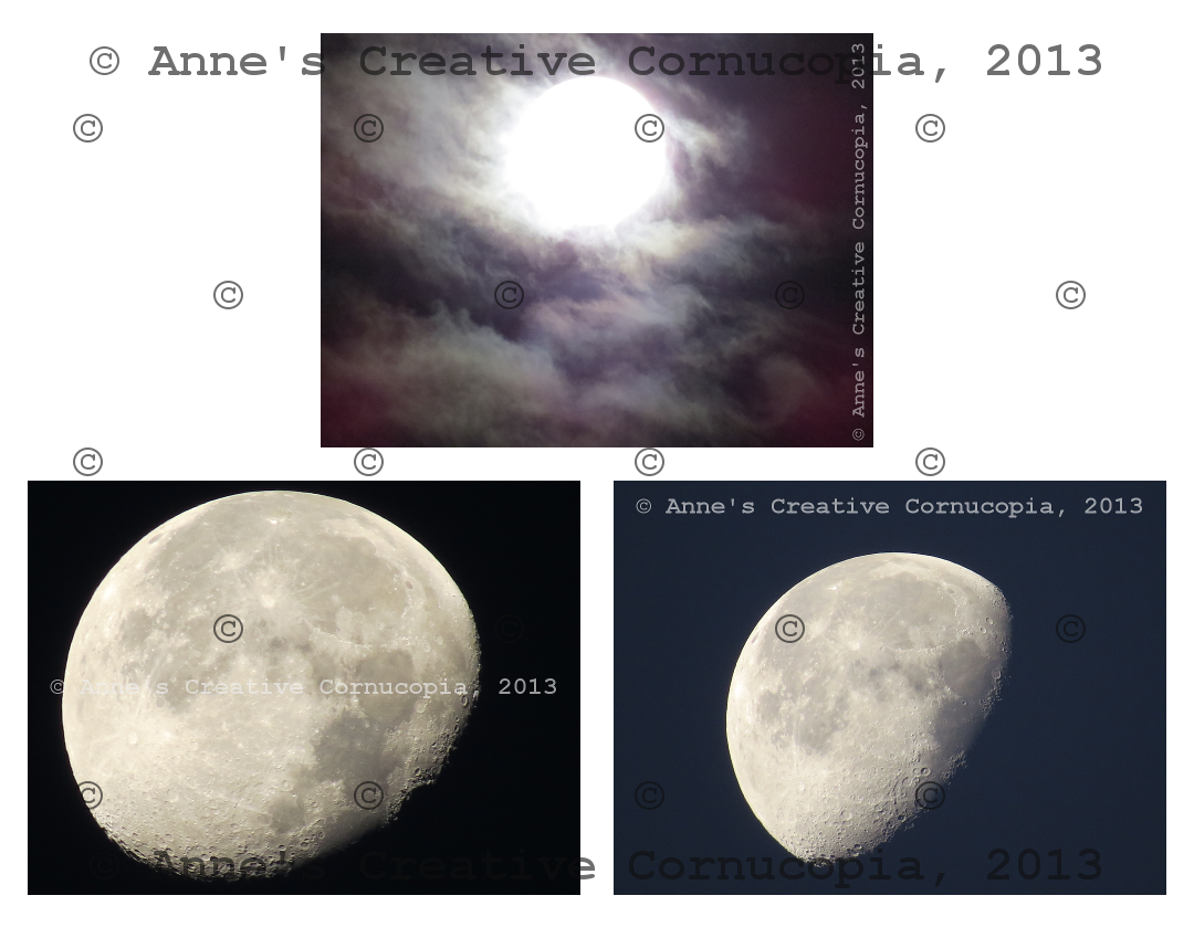 Anne's Creative Cornucopia: Moon - Photograph Top Picks of 2013